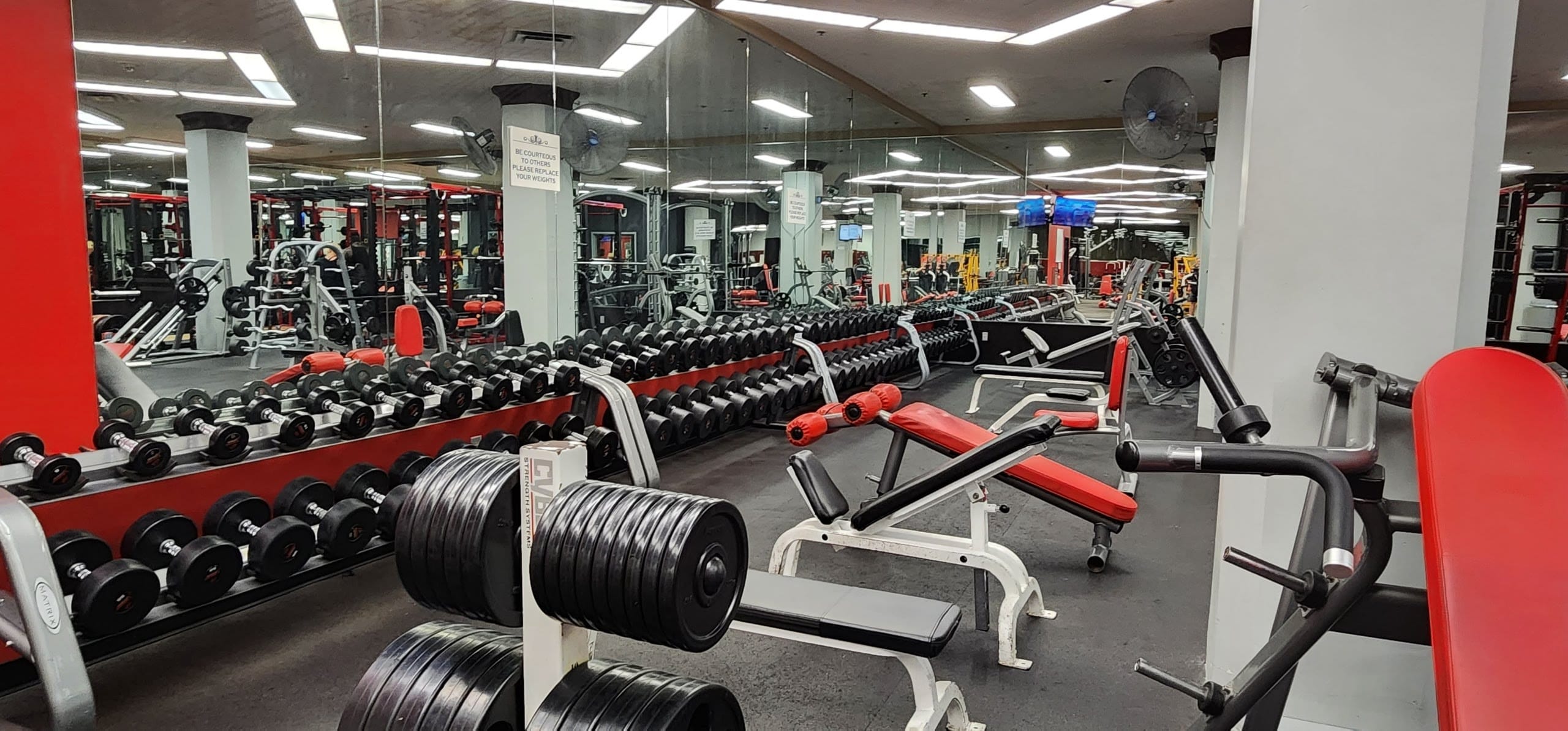 About – Vine Fitness