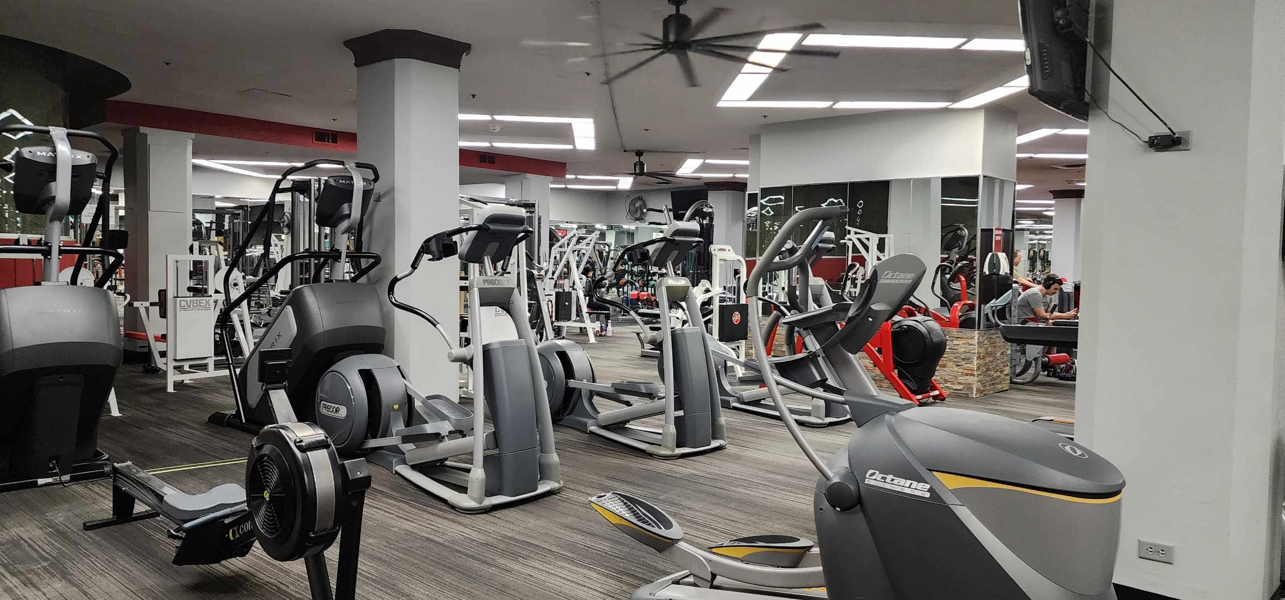 About – Vine Fitness