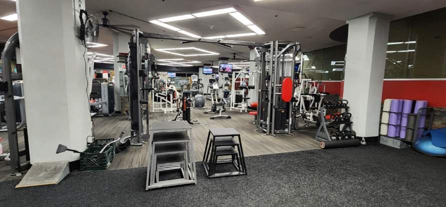 About – Vine Fitness